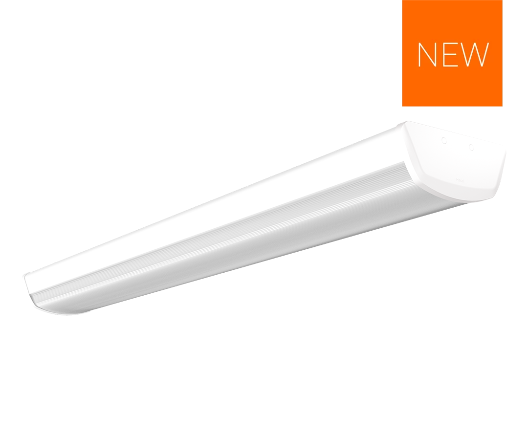 Surface | Hacel Lighting