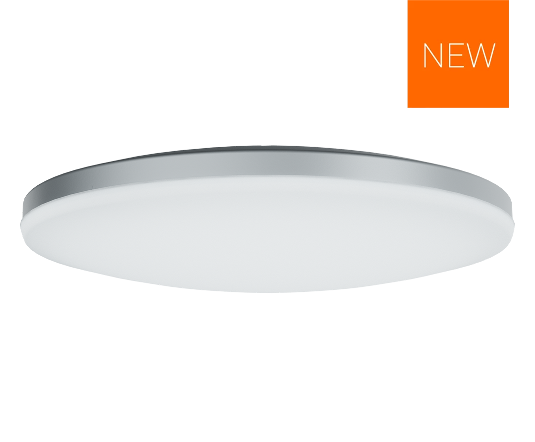 Surface | Hacel Lighting